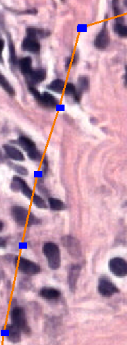 annotation polygon corner points color · Issue #215 ...