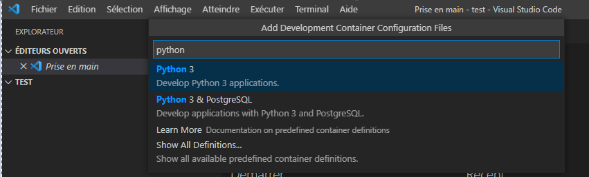 Python 3 container : bash never give back shell control after commands ...