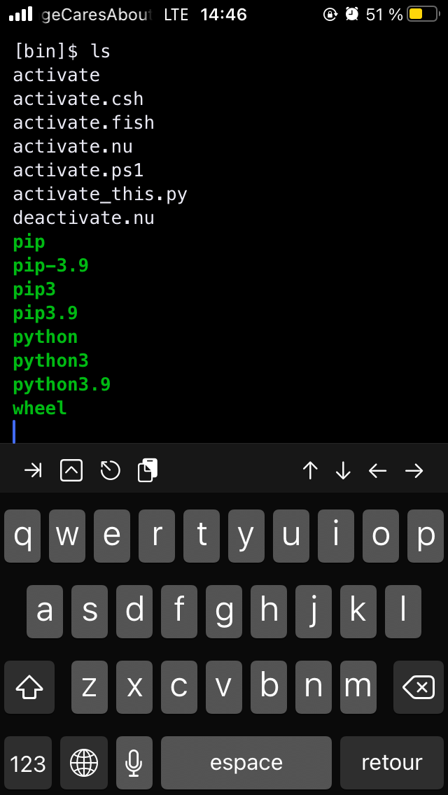 1.)Tkinter launching fails 2.)how dash working 3.) virtualenv · Issue #494 · holzschu/a-shell ...