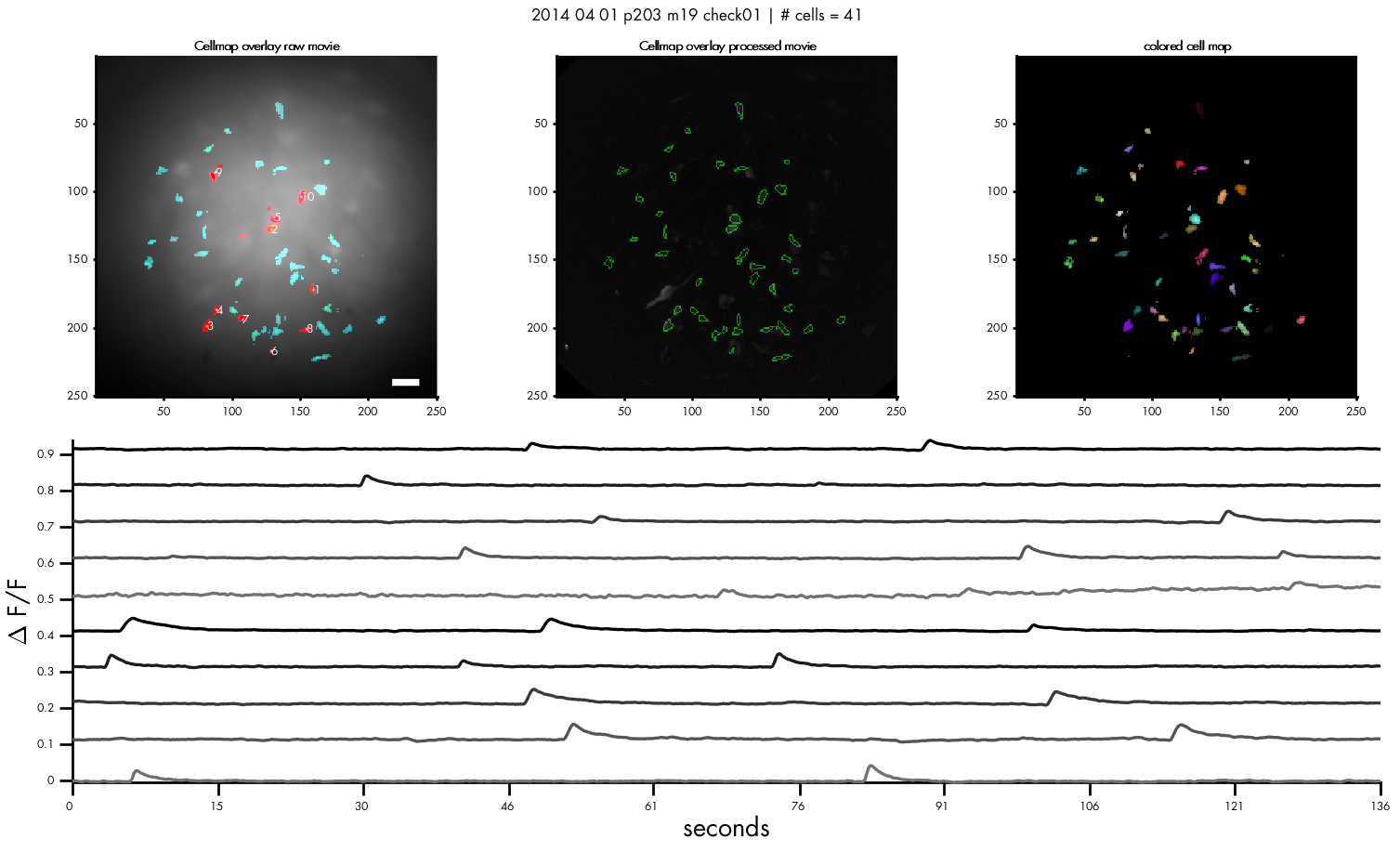 GitHub - bingcao2/calciumImagingAnalysis: calciumImagingAnalysis: a ...