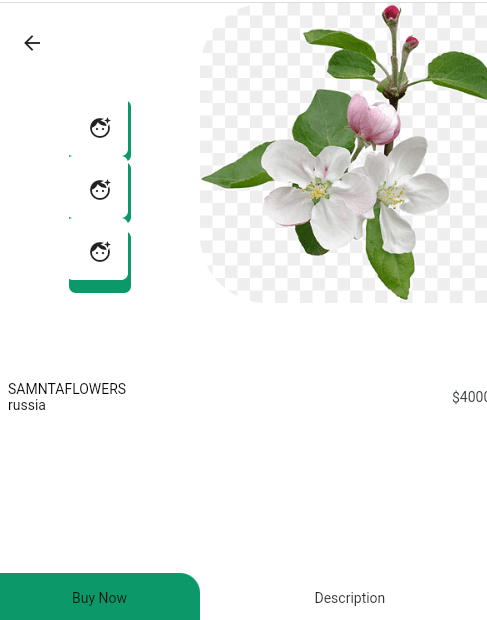 GitHub - norayehia/Flowers-shop-flutter: using Flutter Help people who ...