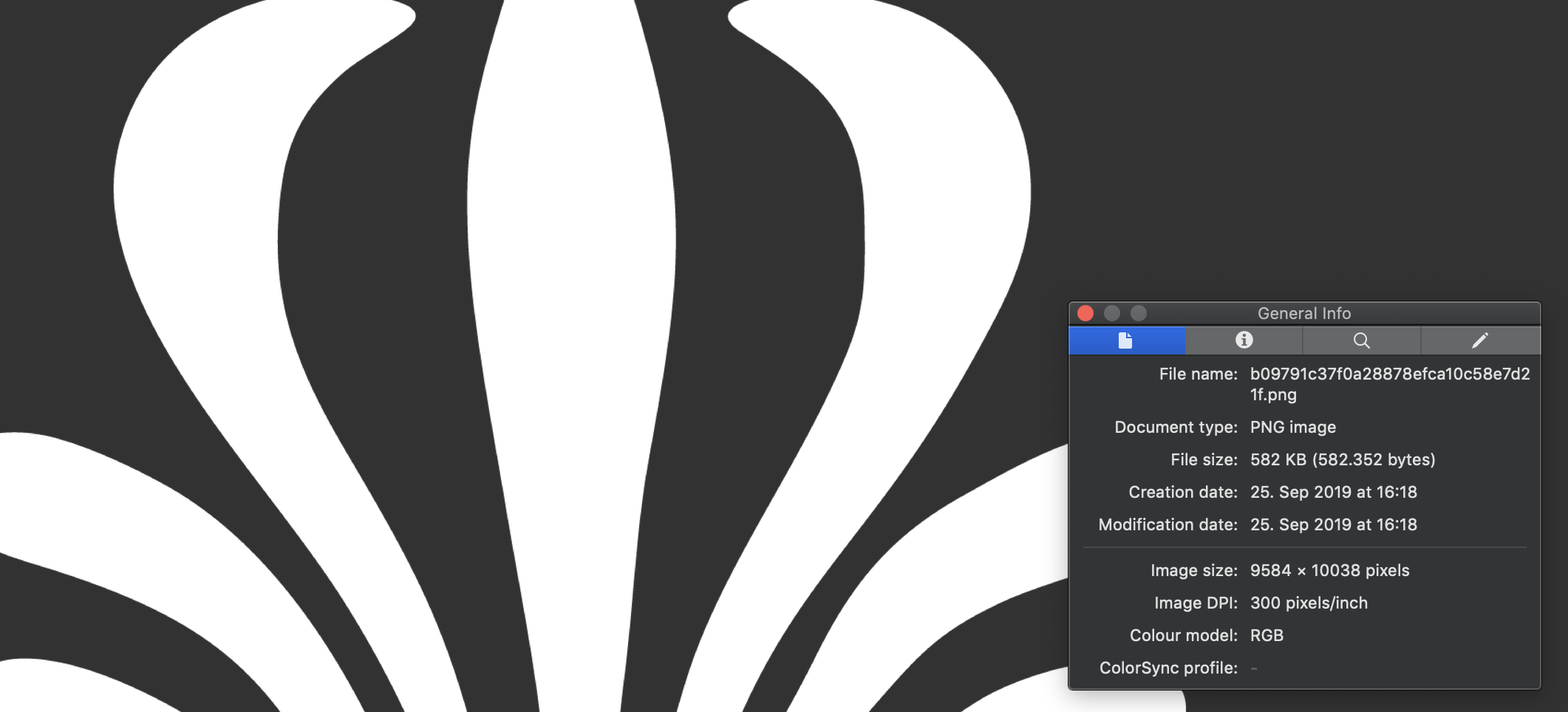 Crash with "Could not decompress image" · Issue #41290 · flutter/flutter · GitHub