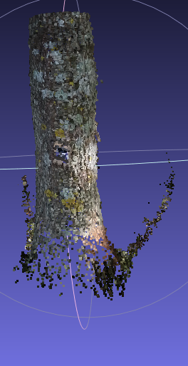 Gtsfm failure cases on tree dataset · Issue #157 · borglab/gtsfm · GitHub