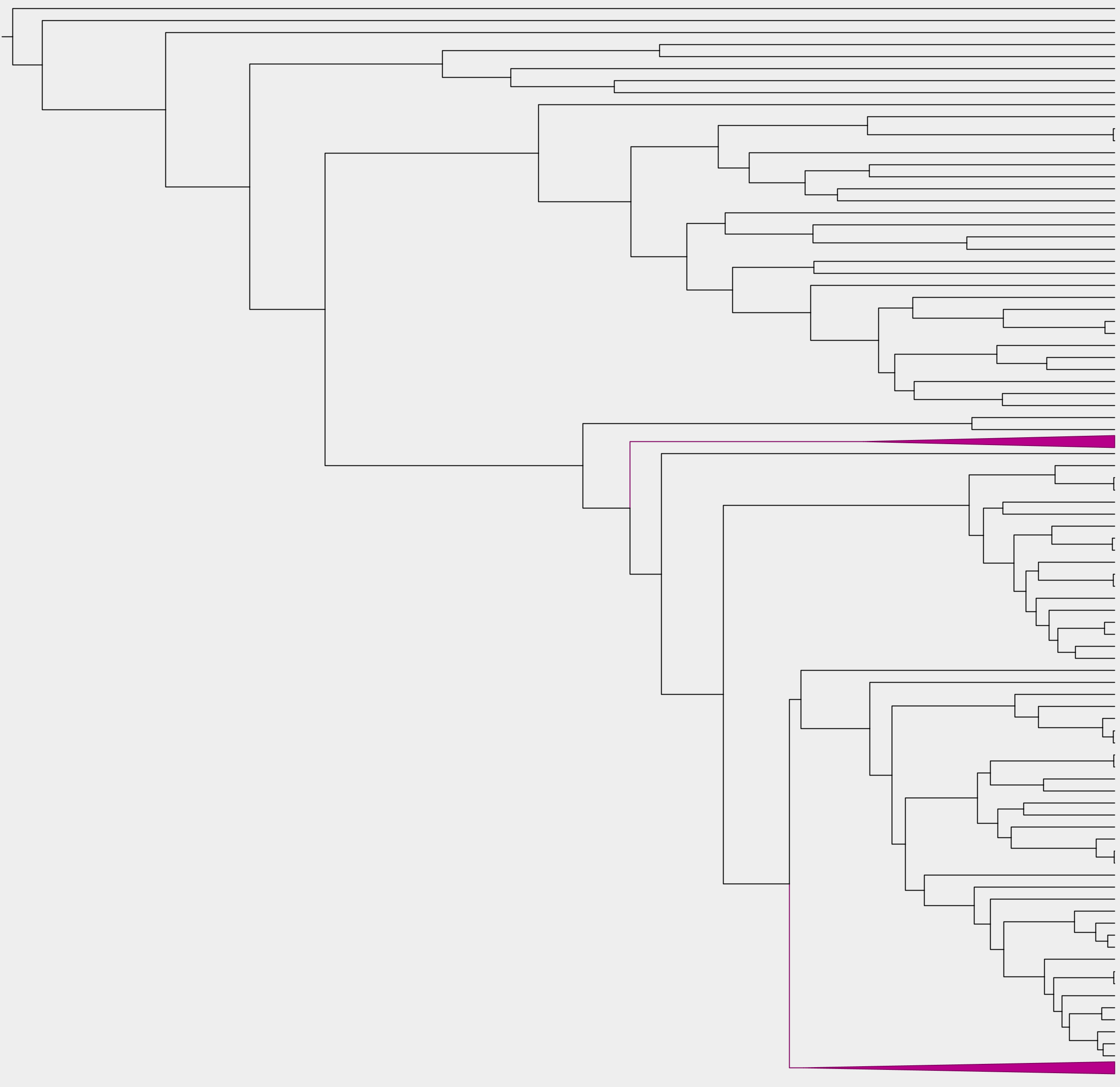 Width uniformization of collapsed triangles · Issue #409 · YuLab-SMU/ggtree · GitHub