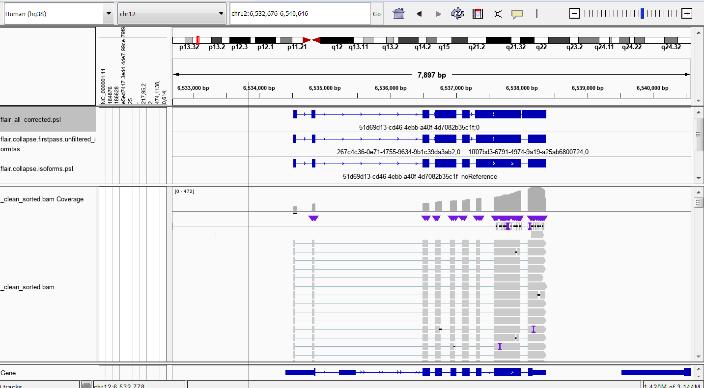 isoforms shorter and missing introns · Issue #33 · BrooksLabUCSC/flair · GitHub