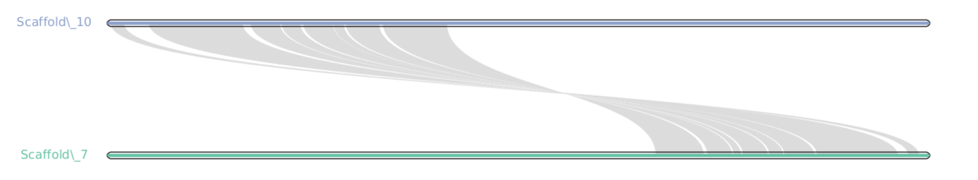 How to relay chromosome sizes to MCscan (python version), · Issue #476 ...