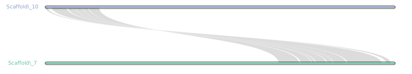 How to relay chromosome sizes to MCscan (python version), · Issue #476 ...