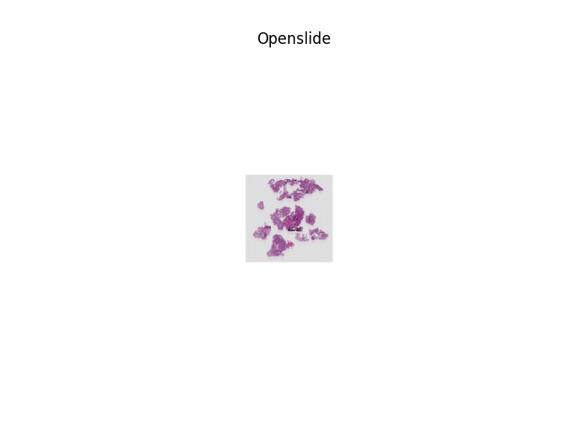 Problems With Loading Scn And Mrxs Files · Issue 353 · Openslide Openslide · Github