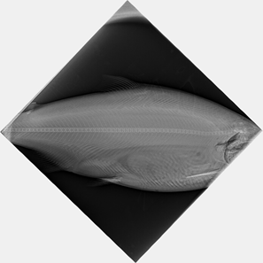 GitHub - dvv3000/semantic-segmentation-using-Unet