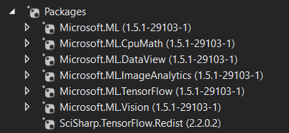 Input shape mismatch: Input 'image_tensor' has shape (-1, -1, -1, 3), but input data is of ...