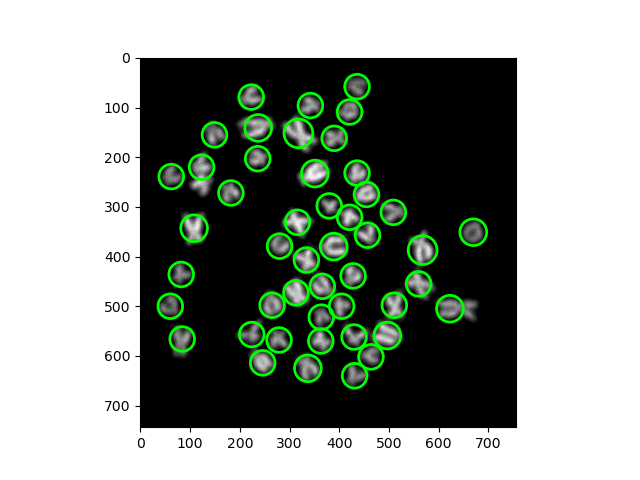 GitHub - MilanCalegari/Chromosome-Count: This script use matplotlib and skimage for detect ...