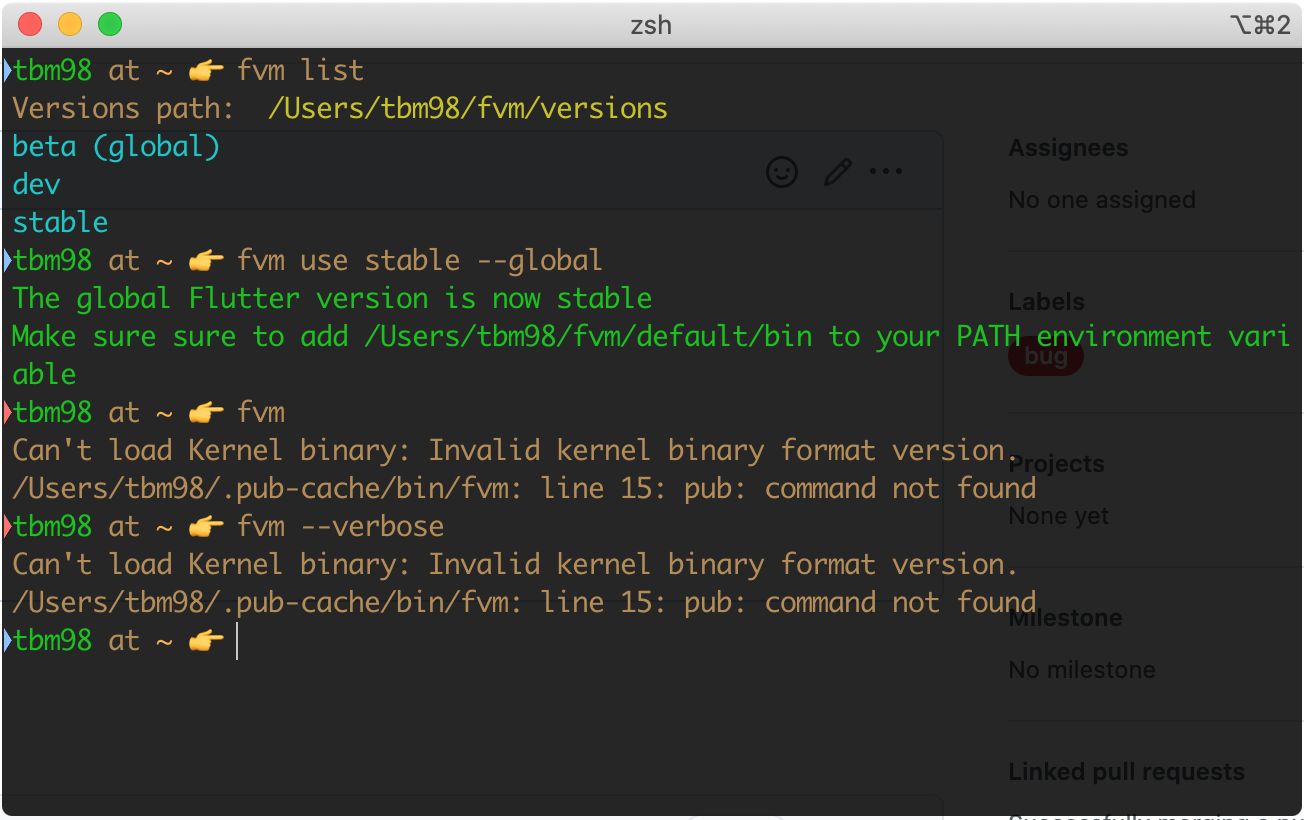 [BUG] fvm can't use after switch global · Issue #126 · leoafarias/fvm · GitHub