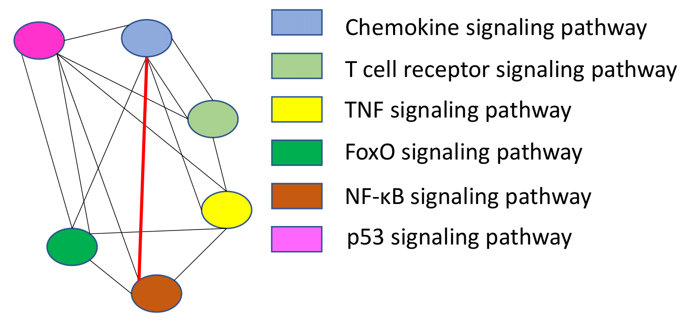 GitHub - skshahnawaz/scPCN: scPCN: Revealing pathway connection among ...