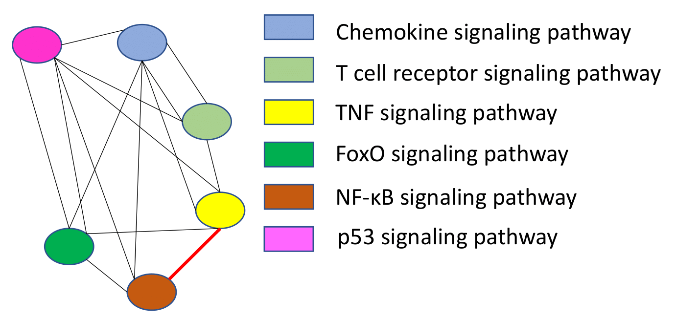 GitHub - skshahnawaz/scPCN: scPCN: Revealing pathway connection among ...