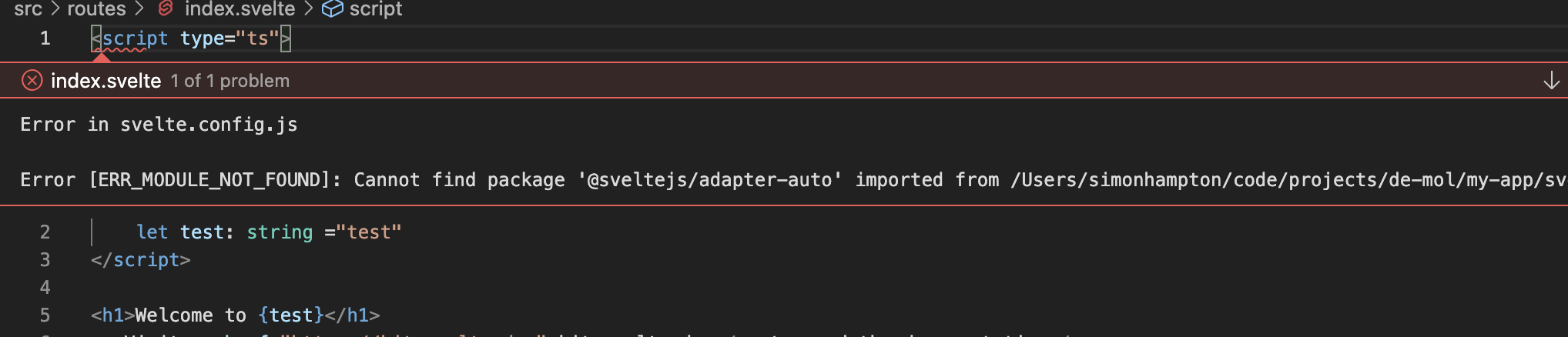 Typescript errors in brand new app · Issue #1425 · sveltejs/language-tools · GitHub