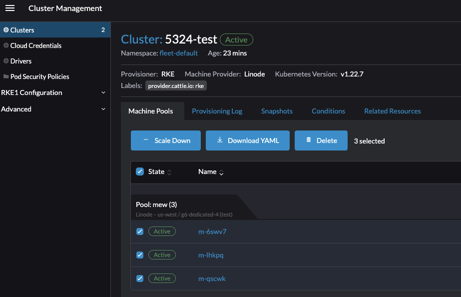 Odd bulk action button visibility behaviour · Issue #5324 · rancher/dashboard · GitHub