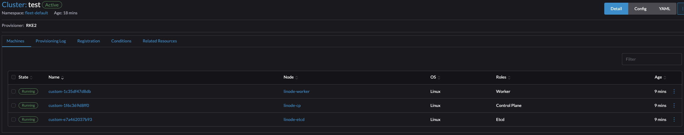 Creating a custom RKE2 cluster on distributed nodes causes `waiting for probes` error, resulting ...