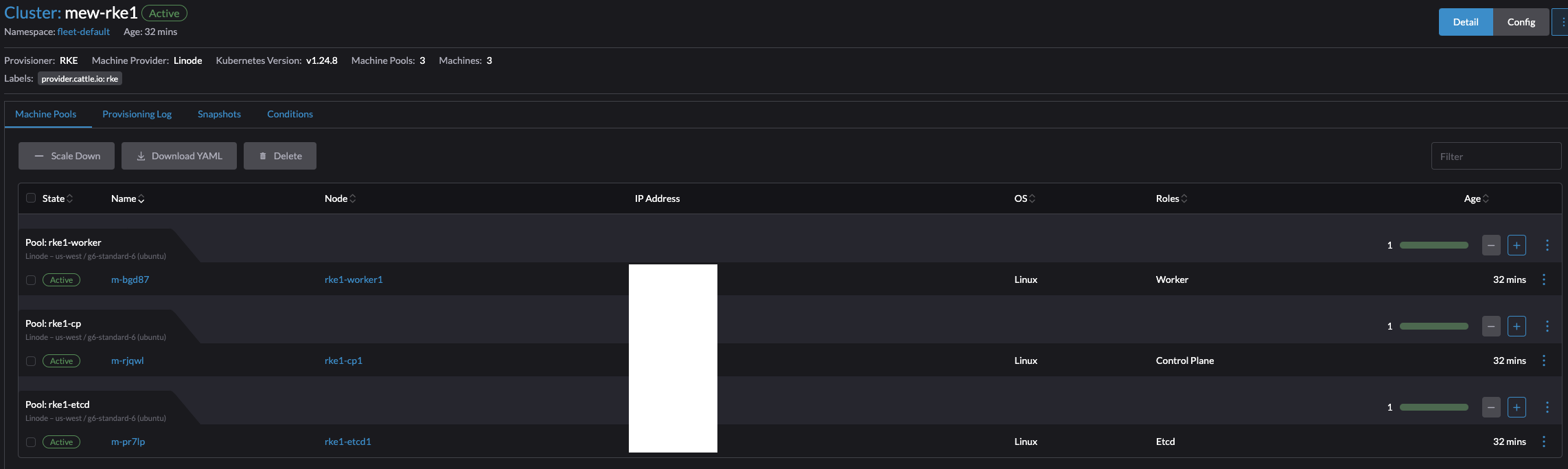 Number of nodes not shows for RKE2 clusters · Issue #7082 · rancher/dashboard · GitHub