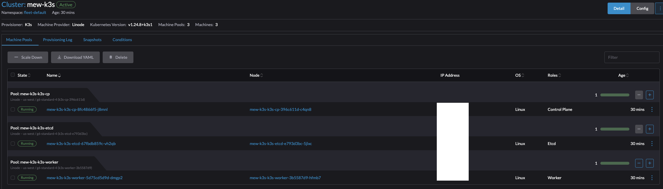 Number of nodes not shows for RKE2 clusters · Issue #7082 · rancher/dashboard · GitHub