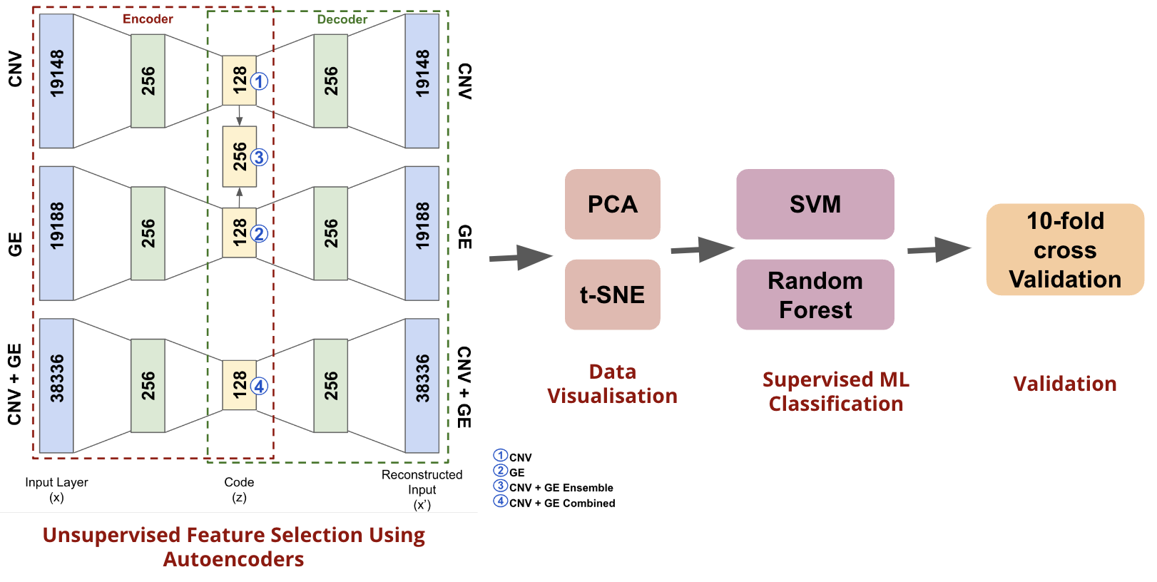 GitHub - 98ketaki/multi-omic-lung-cancer: Autoencoders in PyTorch for unsupervised feature ...