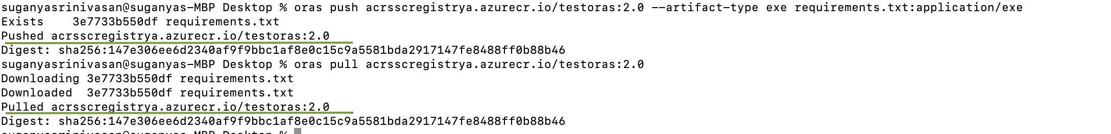 Oras Pushes An Artifact When Uploaded File In The Absolute Path But Fails In Pull Tested With