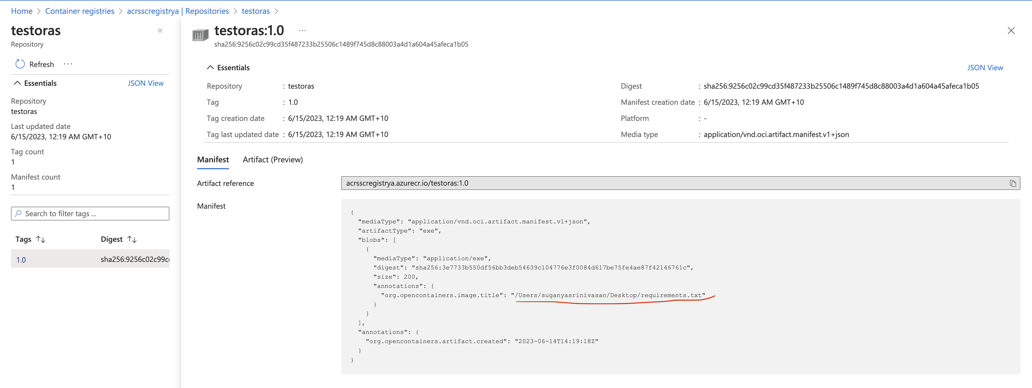 Oras Pushes An Artifact When Uploaded File In The Absolute Path But Fails In Pull Tested With
