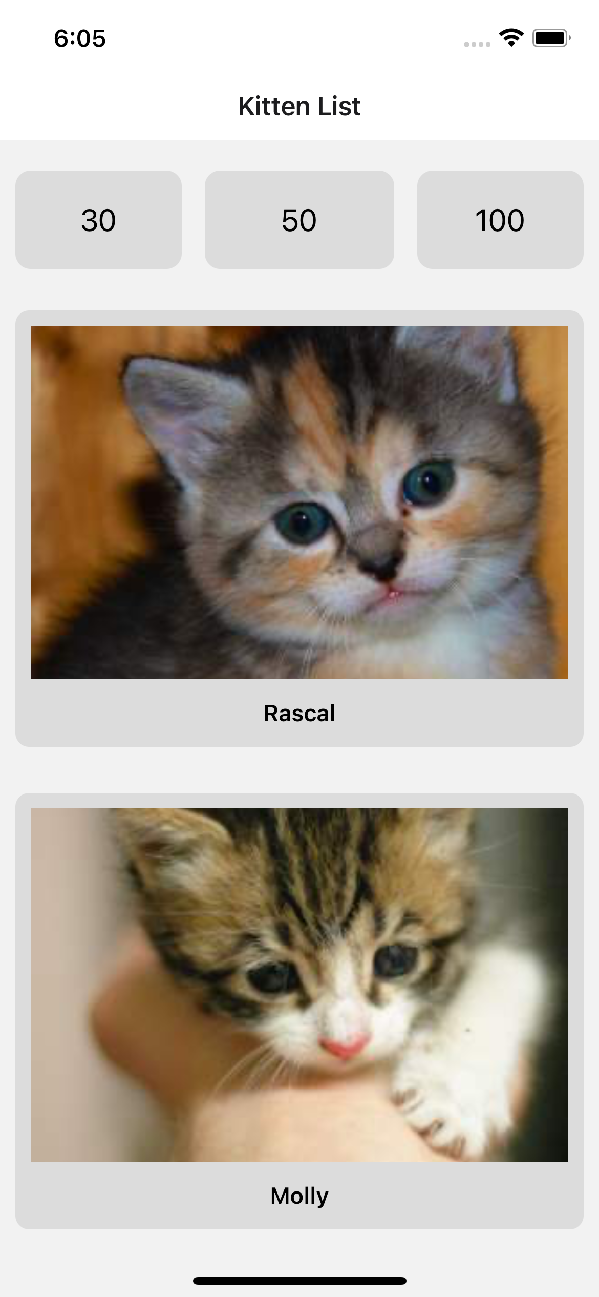 GitHub - outkimlong/rnkitten: For animal lovers (meow meow)