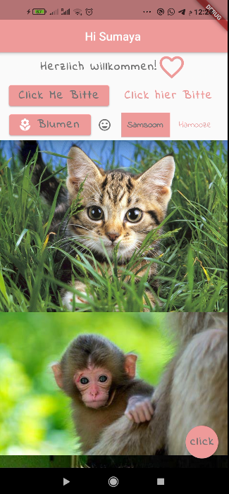 GitHub - Sumaya-Ali/Flutter_StateLess: A simple basic Flutter stateless project with main ...