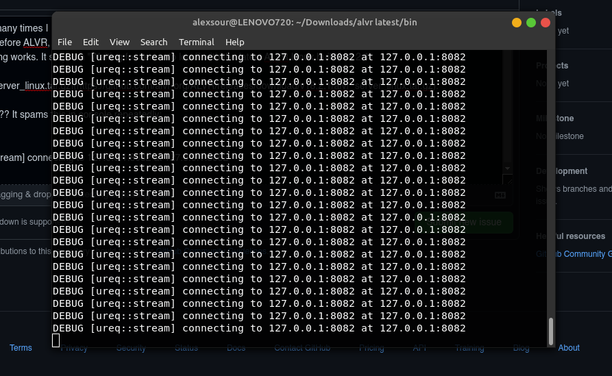 Server never loads · Issue #1029 · alvr-org/ALVR · GitHub