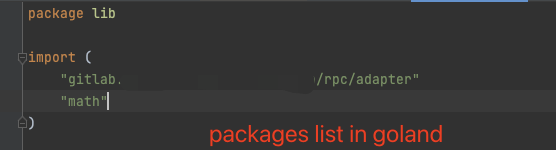 golang-autocompleteUnimportedPackages-Do not change the location of the ...