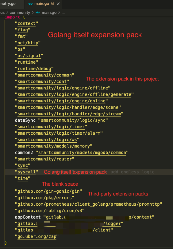 golang-autocompleteUnimportedPackages-Do not change the location of the original extension ...
