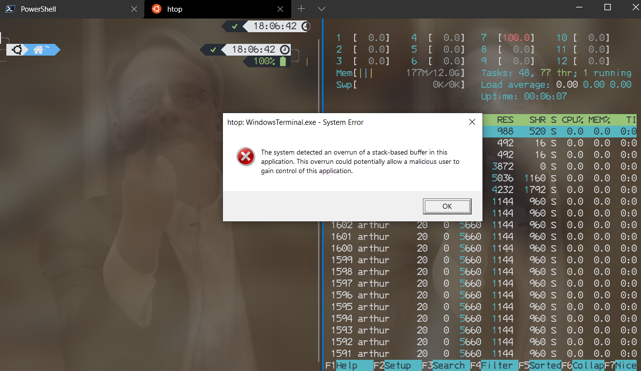 The system detected an overrun of a stack-based buffer in this application · Issue #7763 ...