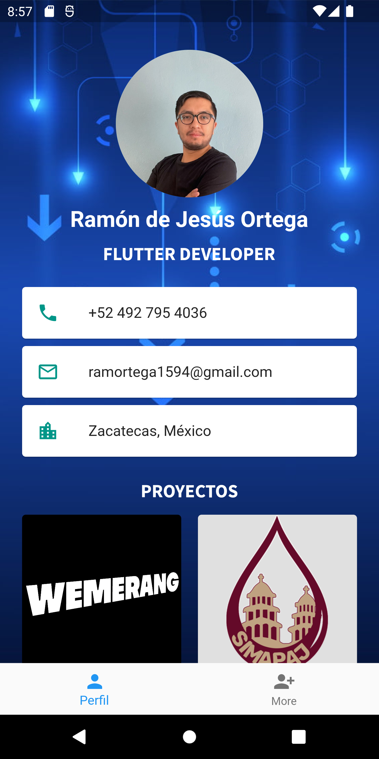 GitHub - ramon-ortega/card_presentation_app: Proyecto 2. App de tarjeta de presentación personal