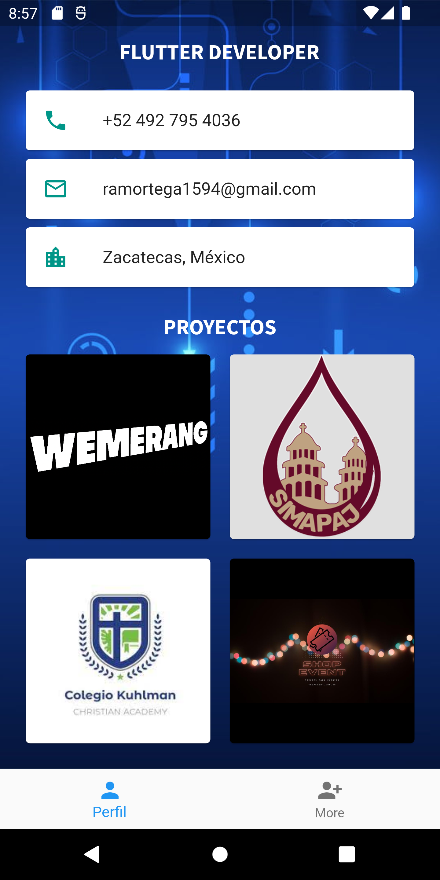 GitHub - ramon-ortega/card_presentation_app: Proyecto 2. App de tarjeta de presentación personal