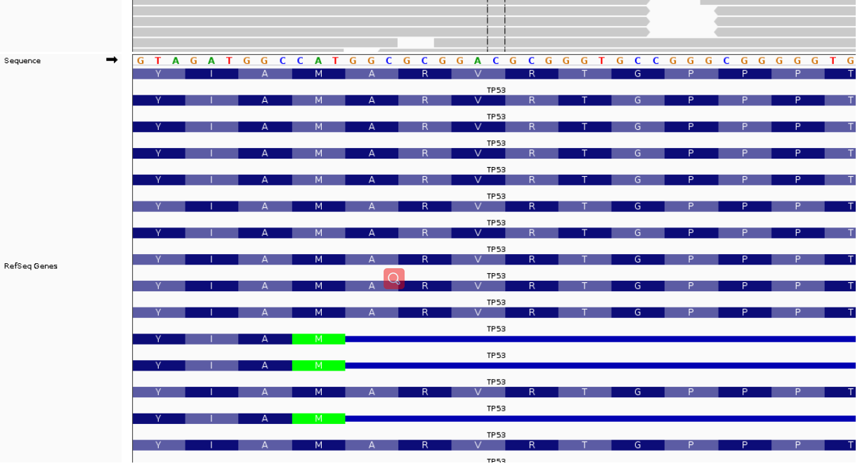 Problem with viewing the annotations · Issue #751 · igvteam/igv · GitHub