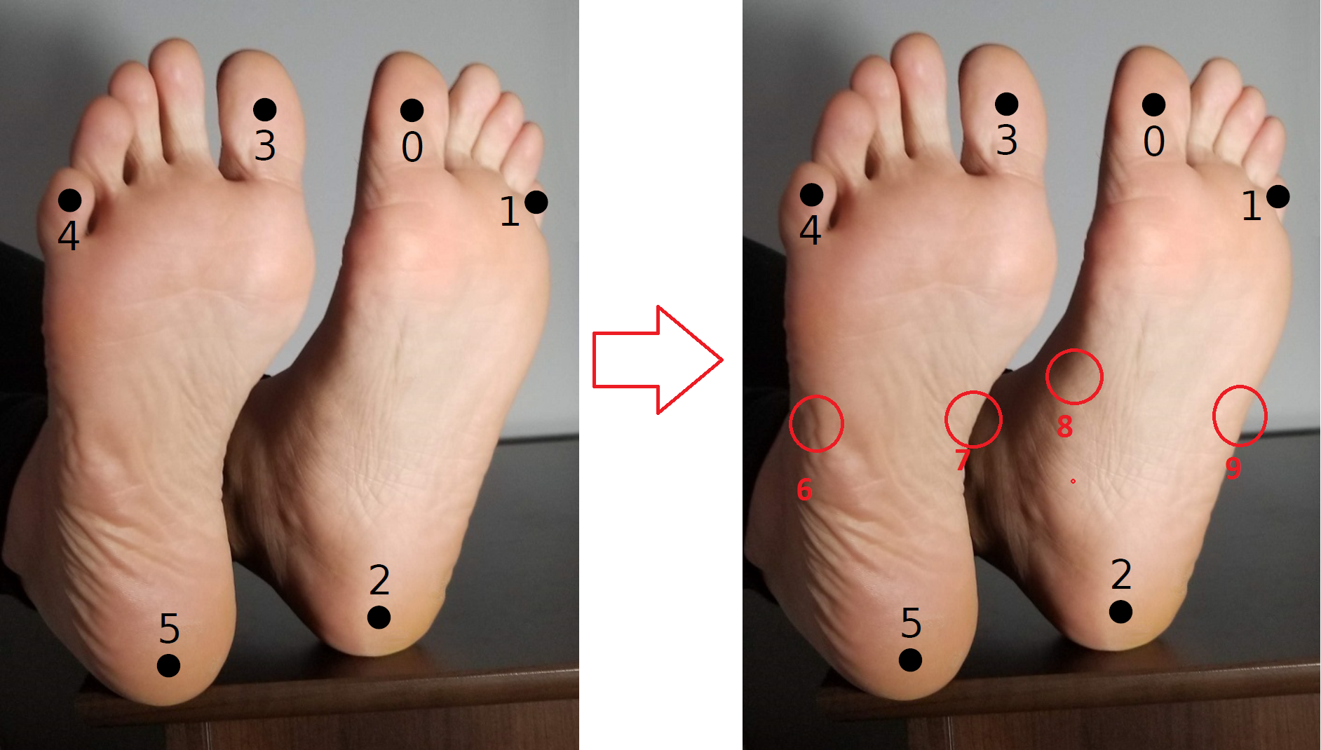 Does Adding New Foot Keypoints Increase Accuracy · Issue 2048 · Cmu Perceptual Computing Lab