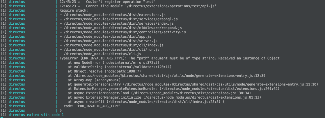 Custom operation extensions don't work · Issue #13706 · directus ...