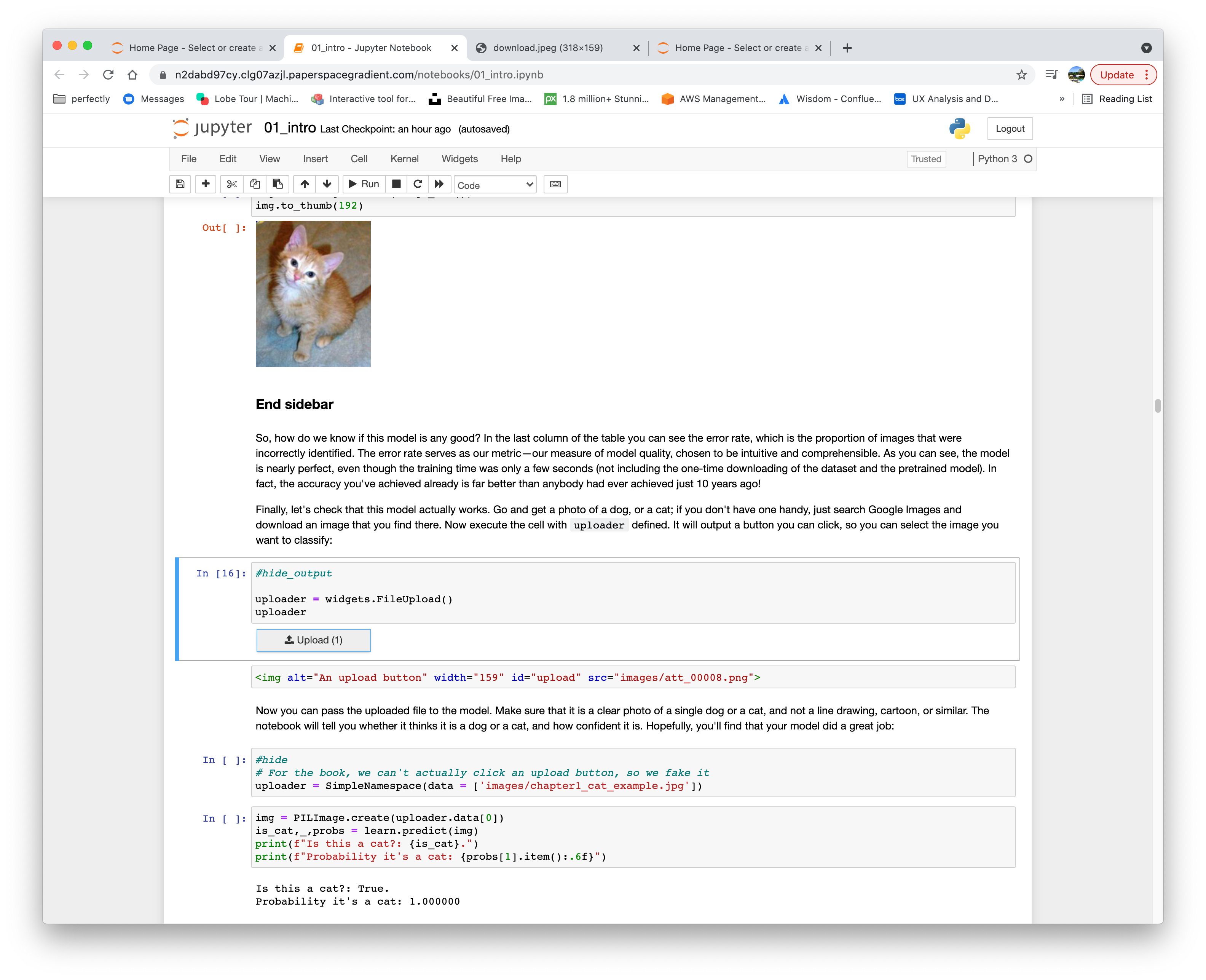 fast.ai course - NameError: name 'widgets' is not defined on 01_intro · Issue #16 · fastai ...