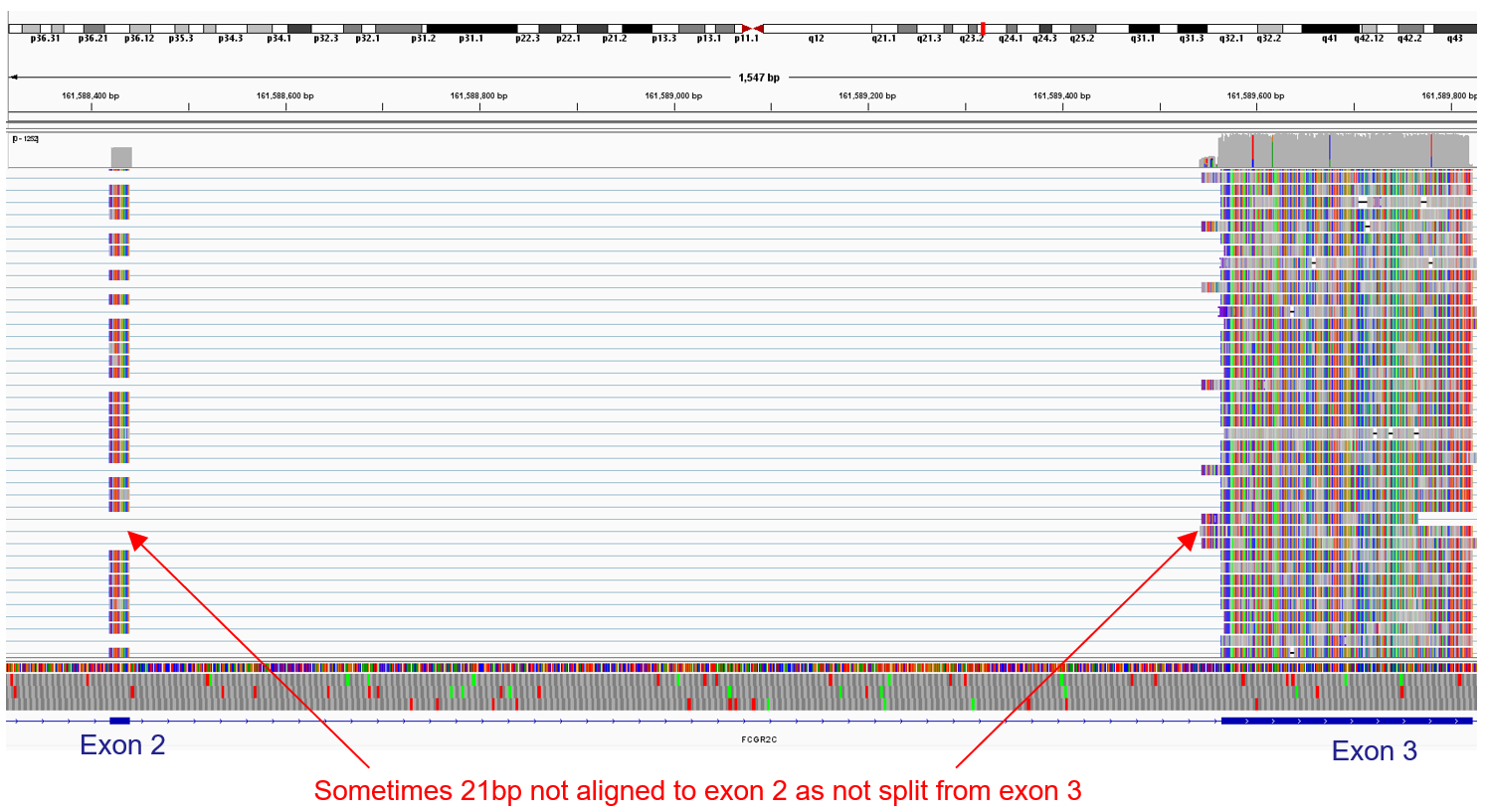 Missmapping of small exon · Issue #968 · lh3/minimap2 · GitHub