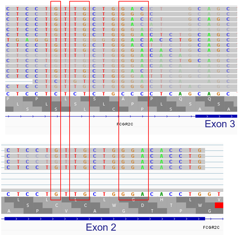 Missmapping of small exon · Issue #968 · lh3/minimap2 · GitHub
