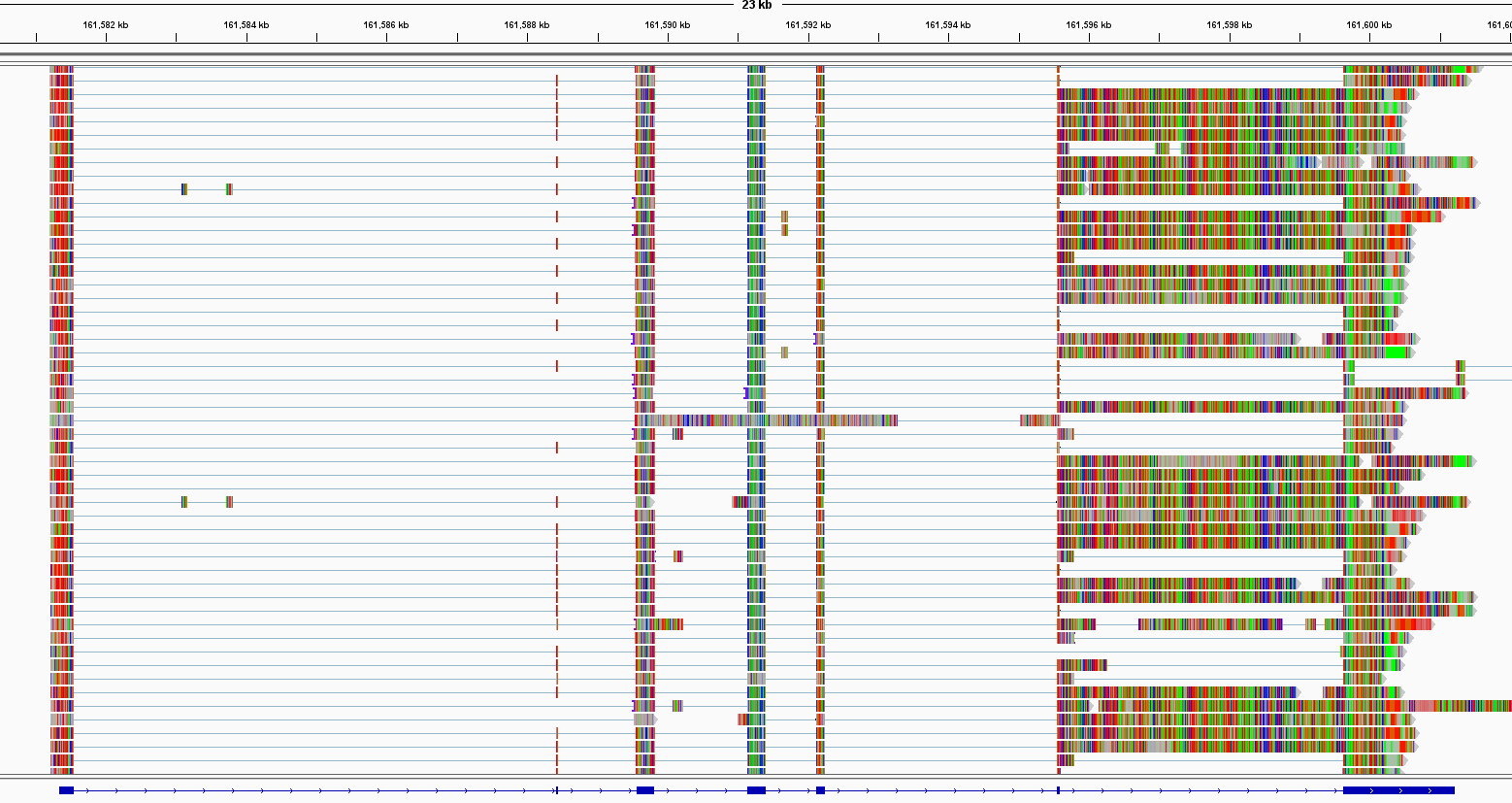 Intron retention detection · Issue #329 · GoekeLab/bambu · GitHub