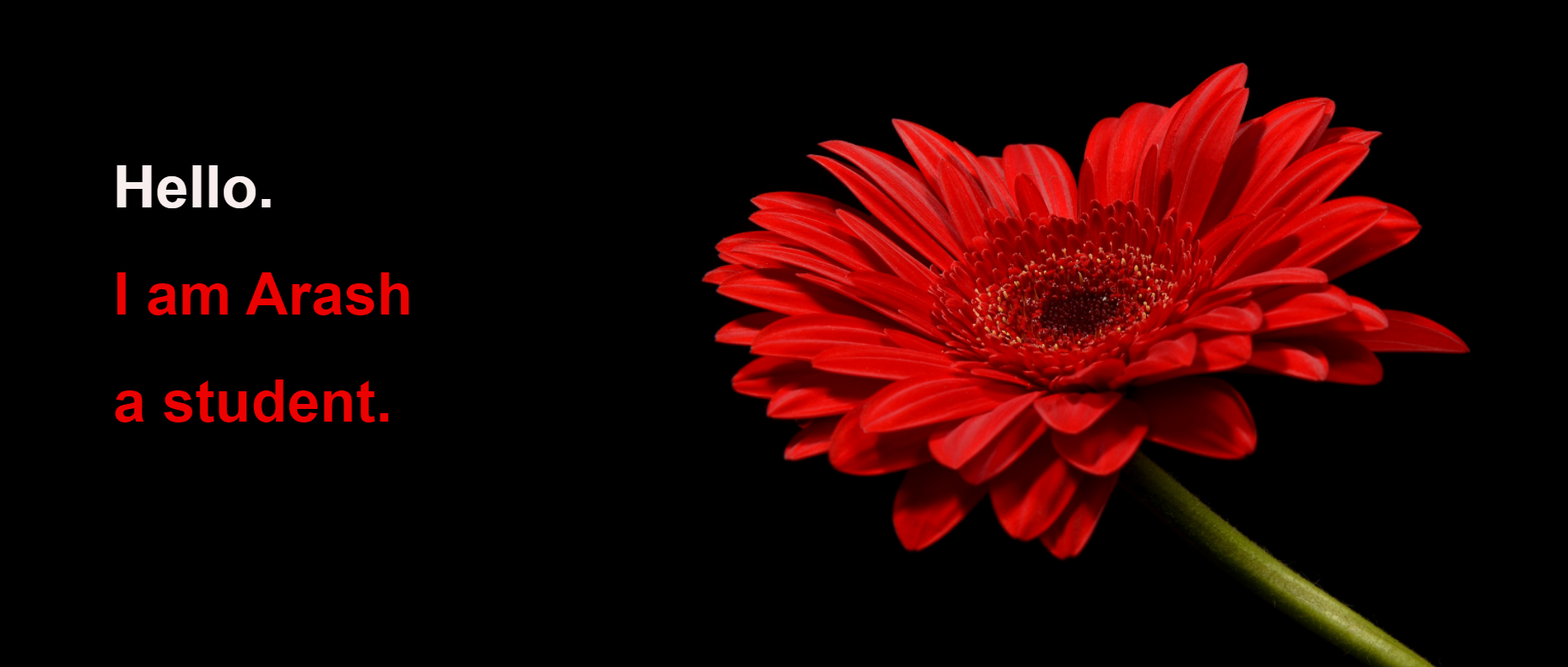 Github Arash Arora Portfolio My Very First Html Css Website