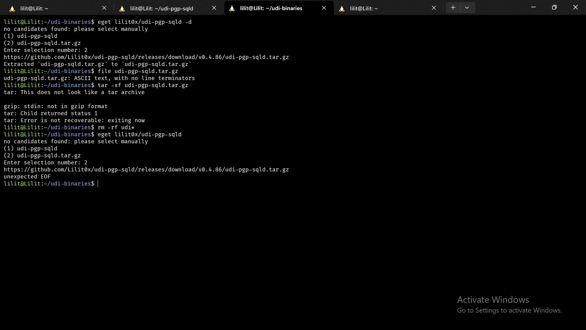 Unexpected EOF downloading and extracting `.tar.gz` files · Issue #75 · zyedidia/eget · GitHub