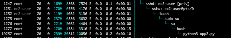 Pandas with flask spins multiple subprocesses · Issue #3353 · pallets/flask · GitHub