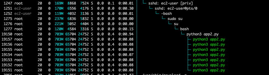 Pandas with flask spins multiple subprocesses · Issue #3353 · pallets/flask · GitHub
