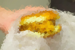 GitHub - nathan-gong/image-processing