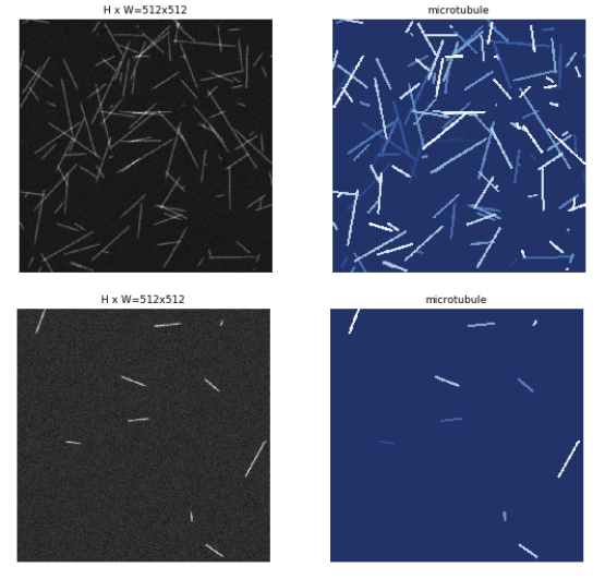 Validation losses increase while training losses decrease · Issue #766 ...