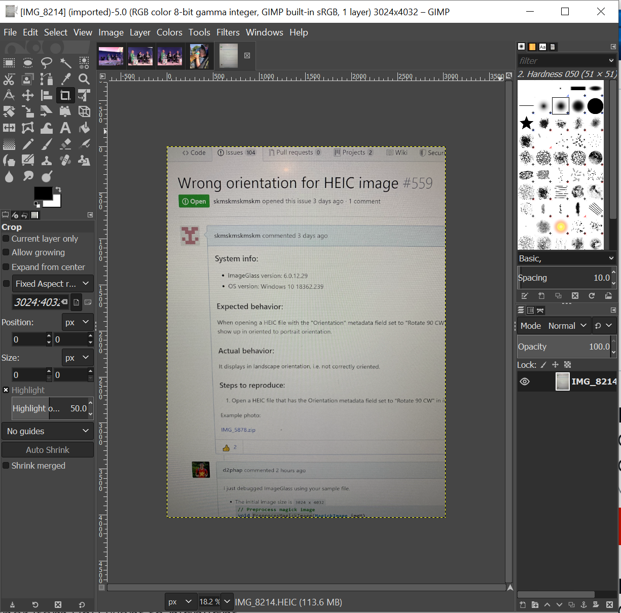 Wrong orientation for HEIC image · Issue #559 · d2phap/ImageGlass · GitHub
