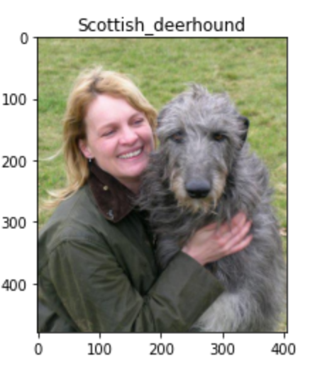 GitHub - vecum0814/Stanford_Dog_Breed_Identification: Created and ...