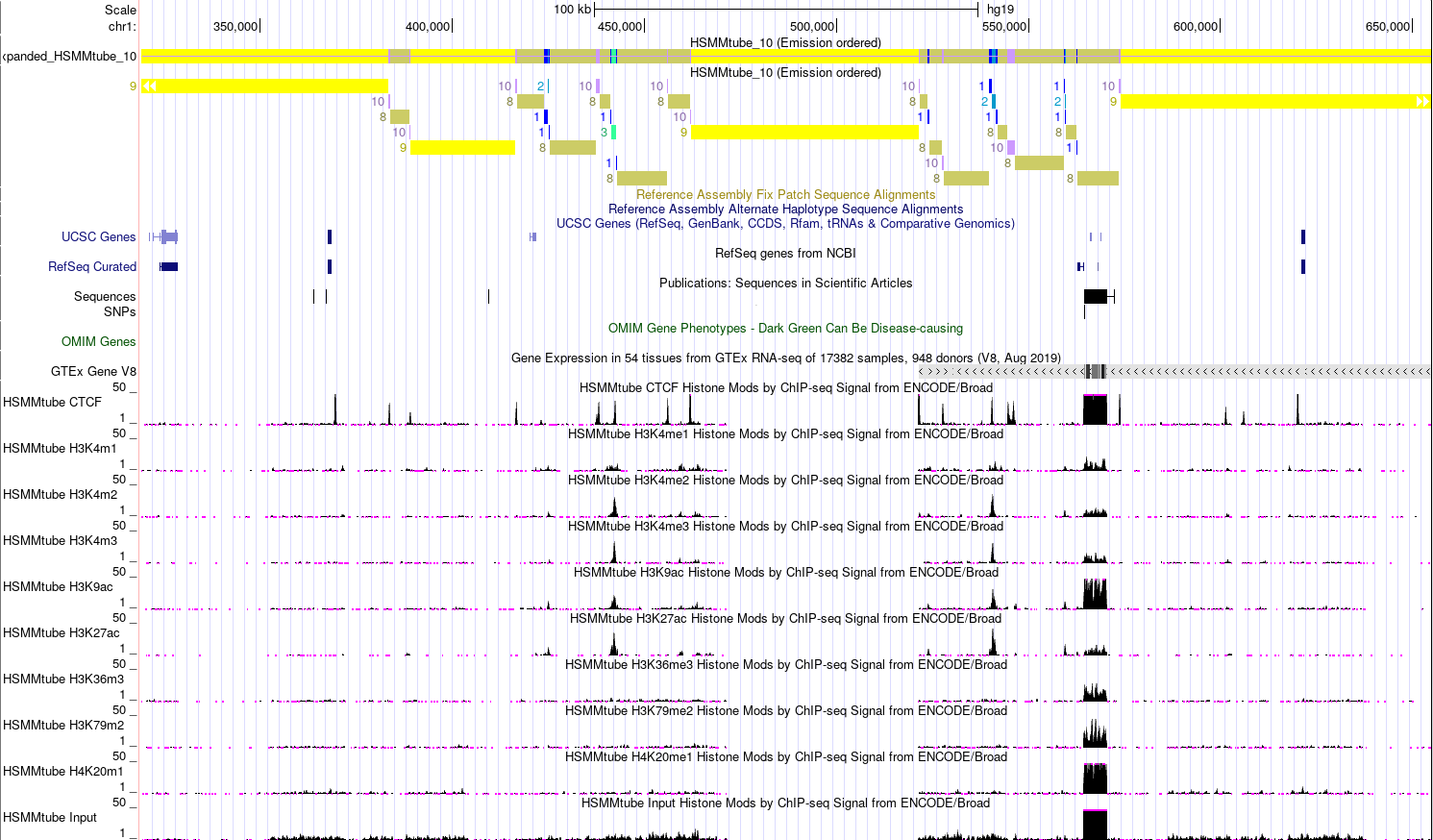 GitHub - SpryGorgon/hse_hw3_chromhmm